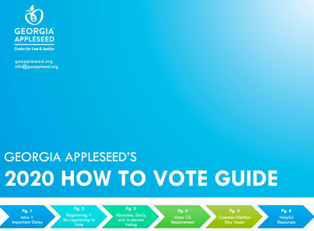 New Guide Leads You Step by Step to Successfully Vote in November Election